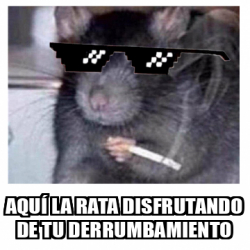 Meme Personalizado - aquí la rata disfrutando de tu derrumbamiento ...