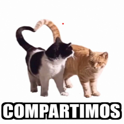 Meme Personalizado - compartimos - 33503968