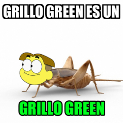Meme Personalizado - Grillo green es un - 33505142