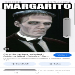 Meme Personalizado - Margarito - 33506718