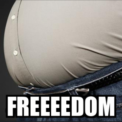 Meme Personalizado - FREEEEDOM - 33507007