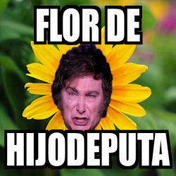 Meme Personalizado - FLOR DE HIJODEPUTA - 33508106