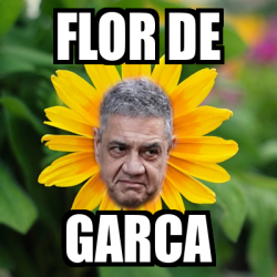 Meme Personalizado - FLOR DE GARCA - 33508108