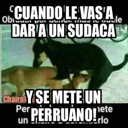 Meme Personalizado - Cuando le vas a dar a un sudaca Y se mete un ...