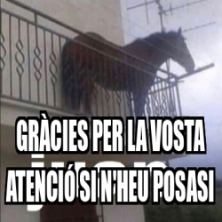 Meme Personalizado - GRÀCIES PER LA VOSTA ATENCIÓ SI N'HEU POSASI ...