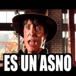 Meme Personalizado - ES UN ASNO - 33522796