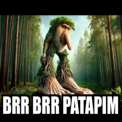 Meme Personalizado - Brr brr patapim - 33523012