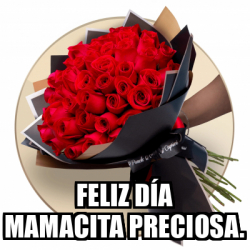 Meme Personalizado - Feliz día mamacita preciosa. - 33528575