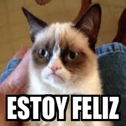 Meme Personalizado - Estoy feliz - 33529036