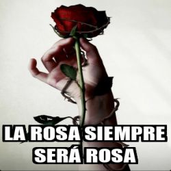 Meme Personalizado - la rosa siempre será rosa - 33532130