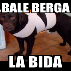 Meme Personalizado - Bale Berga La Bida - 33533291