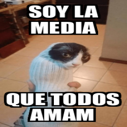 Meme Personalizado - Soy la Media Que todos amam - 33545494
