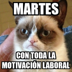 Meme Grumpy Cat - Martes Con toda la motivación laboral - 33546927