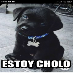 Meme Personalizado Estoy Cholo 33547824