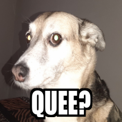 Meme Personalizado - Quee? - 33549631