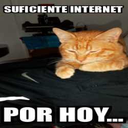 Meme Personalizado - suficiente internet por hoy... - 33553926