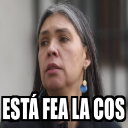 Meme Personalizado - Está fea la cos - 33558291