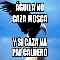 Meme Personalizado - águila no caza mosca y si caza va pal caldero ...