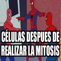 Meme Personalizado - Células despues de realizar la mitosis - 33568839