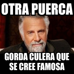 Meme Personalizado - OTRA PUERCA GORDA CULERA QUE SE CREE FAMOSA - 33573220