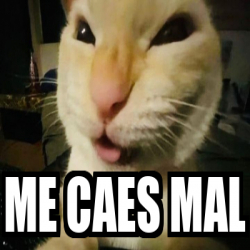 Meme Personalizado - me caes mal - 33573322