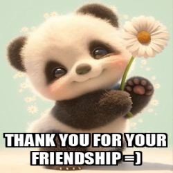 Meme Personalizado - Thank you for your friendship =) - 33574069