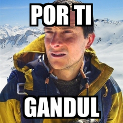 Meme Bear Grylls - Por ti Gandul - 33579209