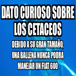 Meme Personalizado - dato curioso sobre los cetaceos debido a su gran ...