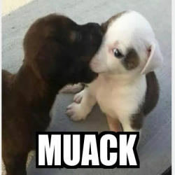 Meme Personalizado - Muack - 33061003