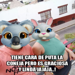 Meme Personalizado - TIENE CARA DE PUTA LA CONEJA PERO ES GRACIOSA Y ...