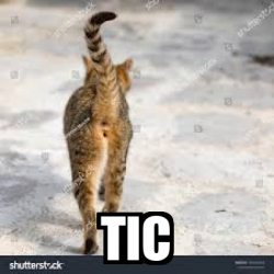 Meme Personalizado - Tic - 33067519