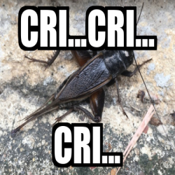 Meme Personalizado - Cri...cri... cri... - 33617097