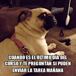 Meme Personalizado - CUANDO ES EL ÚLTIMO DÍA DEL CURSO Y TE PREGUNTAN ...