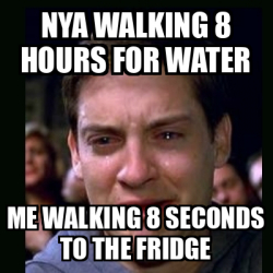Meme crying peter parker - Nya walking 8 hours for water Me walking 8 ...