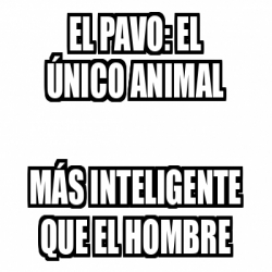 Meme Personalizado - el pavo: el único animal más inteligente que el ...