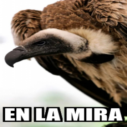 Meme Personalizado - EN LA MIRA - 33632569