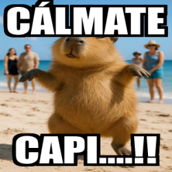 Meme Personalizado - Cálmate Capi....!! - 33633854