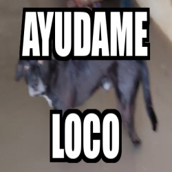 Meme Personalizado - Ayudame Loco - 33641386