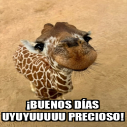 Meme Personalizado - ¡Buenos días uyuyuuuuu Precioso! - 33644690