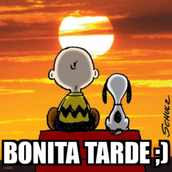 Meme Personalizado - Bonita tarde ;) - 33648215