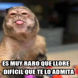 Meme Personalizado - es muy raro que llore Difícil que te lo admita ...