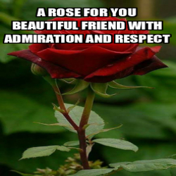 Meme Personalizado - A rose for you beautiful friend with admiration ...