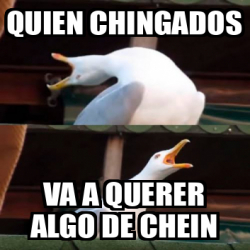 Meme Personalizado - Quien chingados Va a querer algo de Chein - 33072683