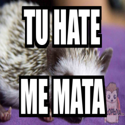 Meme Personalizado - tu hate me mata - 33074061
