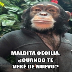 Meme Personalizado - Maldita Cecilia, ¿cuándo te veré de nuevo? - 33075291