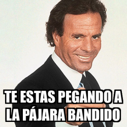 Meme Julio Iglesias - te estas pegando a la pájara bandido - 33075533