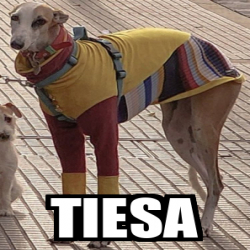 Meme Personalizado - tiesa - 33076728