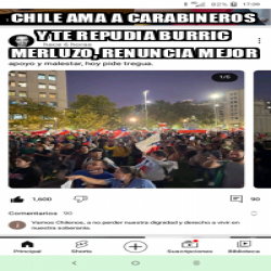 Meme Personalizado - Chile ama a Carabineros y te repudia Burric ...