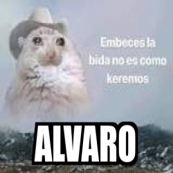 Meme Personalizado - Alvaro - 33077755