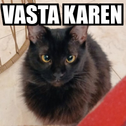Meme Personalizado - vasta karen - 33079258